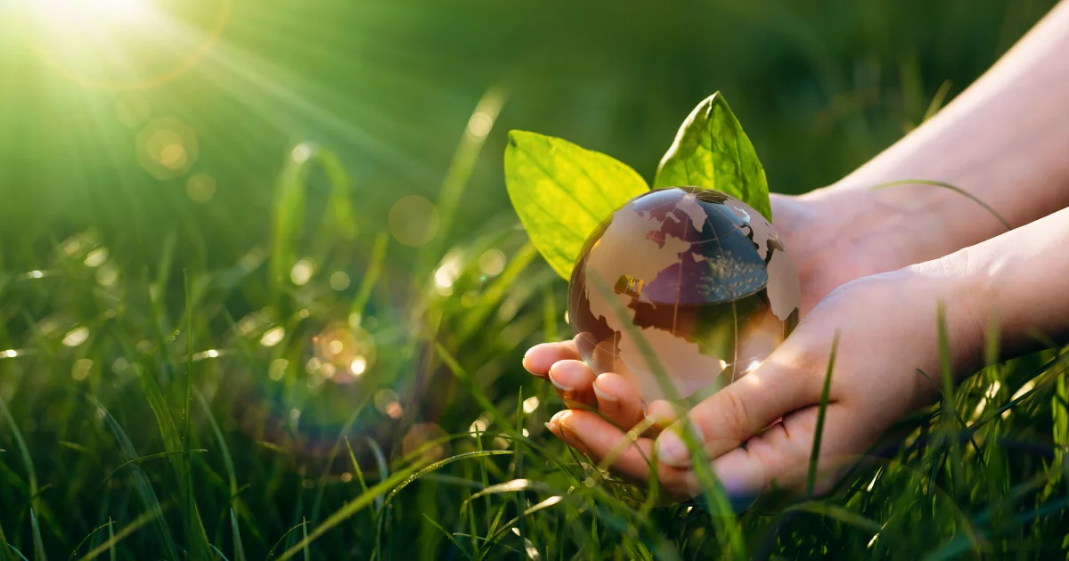 The Earth Is Calling – an open source course on global ecology - NLL