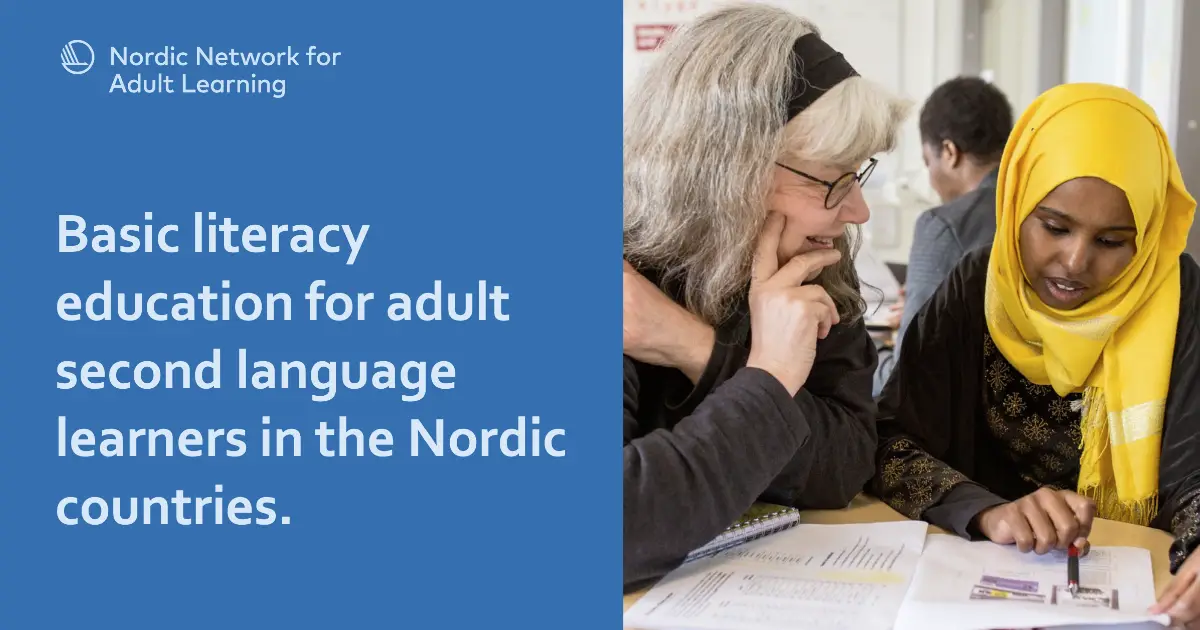 Basic Literacy Education for Adult Second Language Learners in the ...